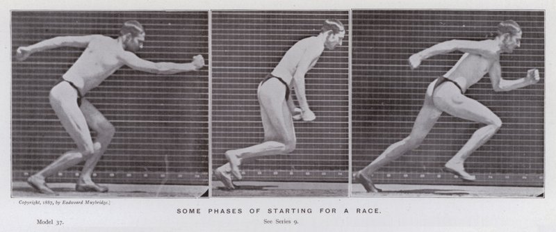The Human Figure in Motion: Some phases of starting a race
