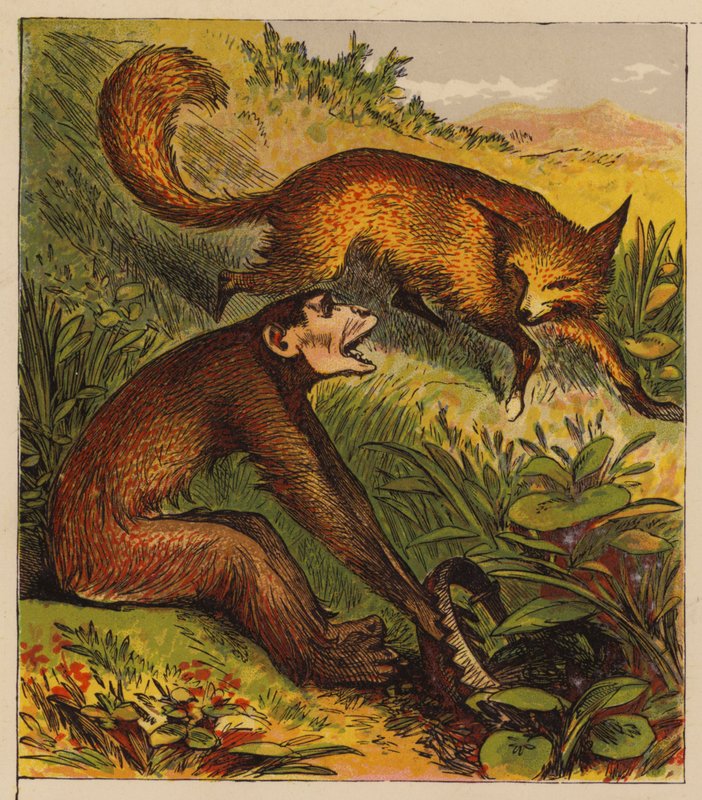 Aesop’s Fables: The Fox and the Ape by English School