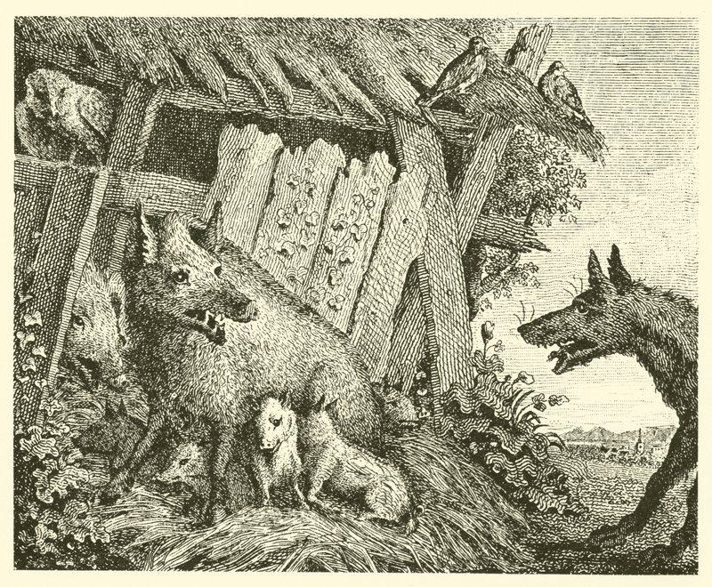 The Sow and the Wolf by English School: Buy fine art prints