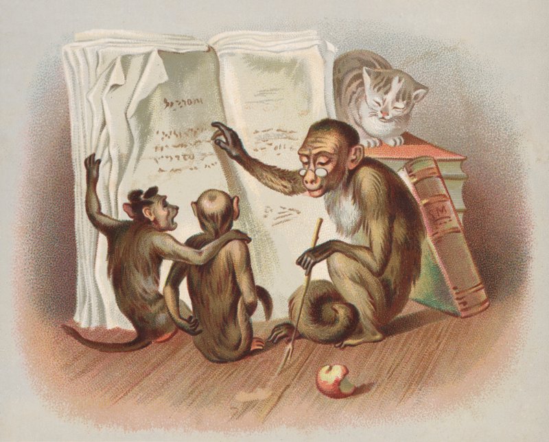 Monkey Teaching by European School: Buy fine art print