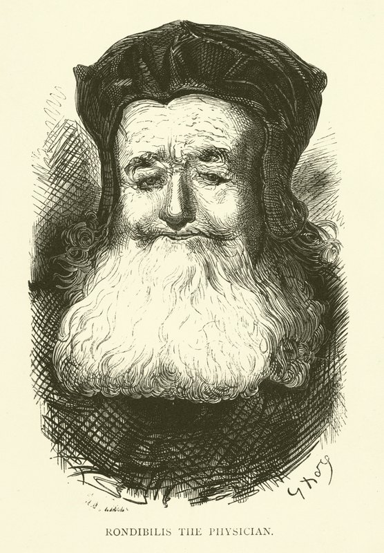 Illustration for the Works of Rabelais by Gustave after Dore