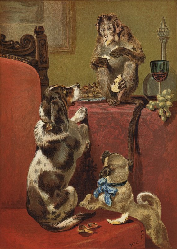 The Greedy Monkey by John Charles Dollman: Fine art print